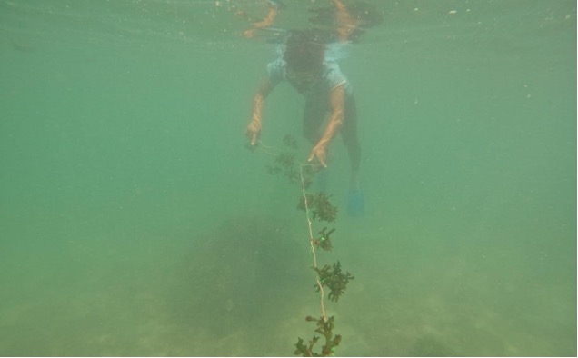 Soekarno-Hatta Fuel Terminal & Hydrant Installation (SHAFTHI ...